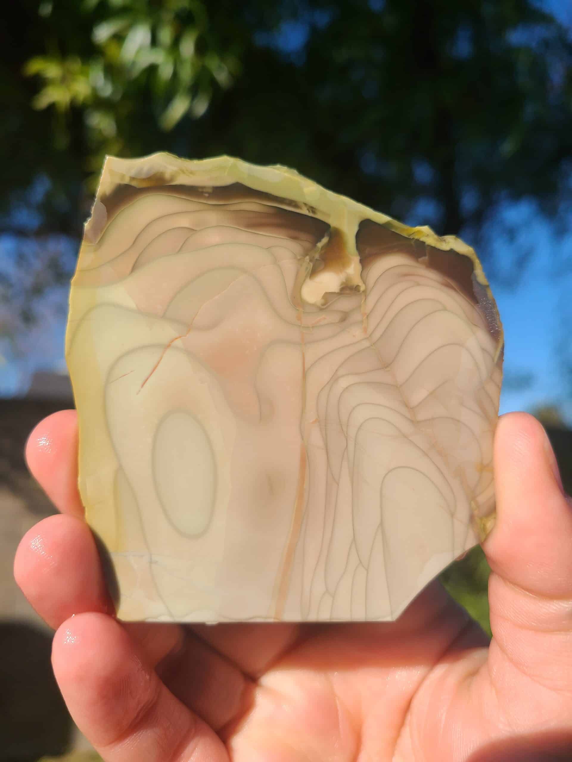 Willow Creek Jasper Image Gallery – Arizona Rock Shop
