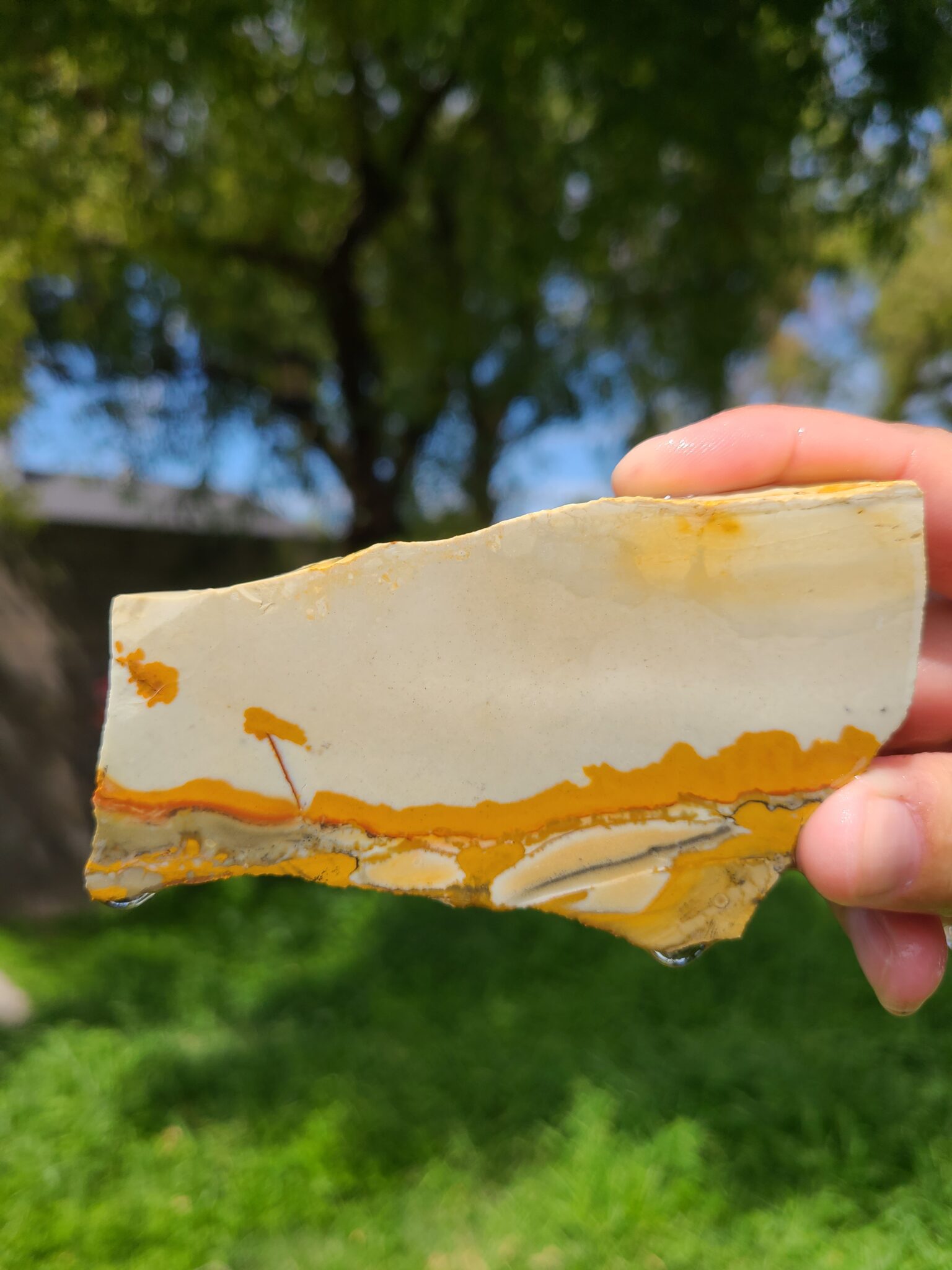 Picture Jasper Gallery – Arizona Rock Shop