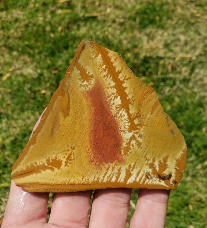Picture Jasper Gallery – Arizona Rock Shop