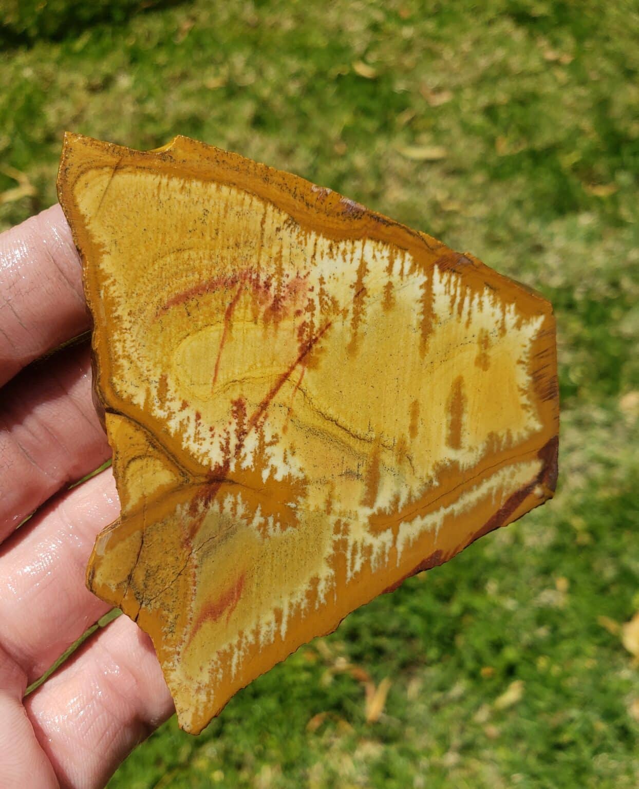 Picture Jasper Gallery – Arizona Rock Shop