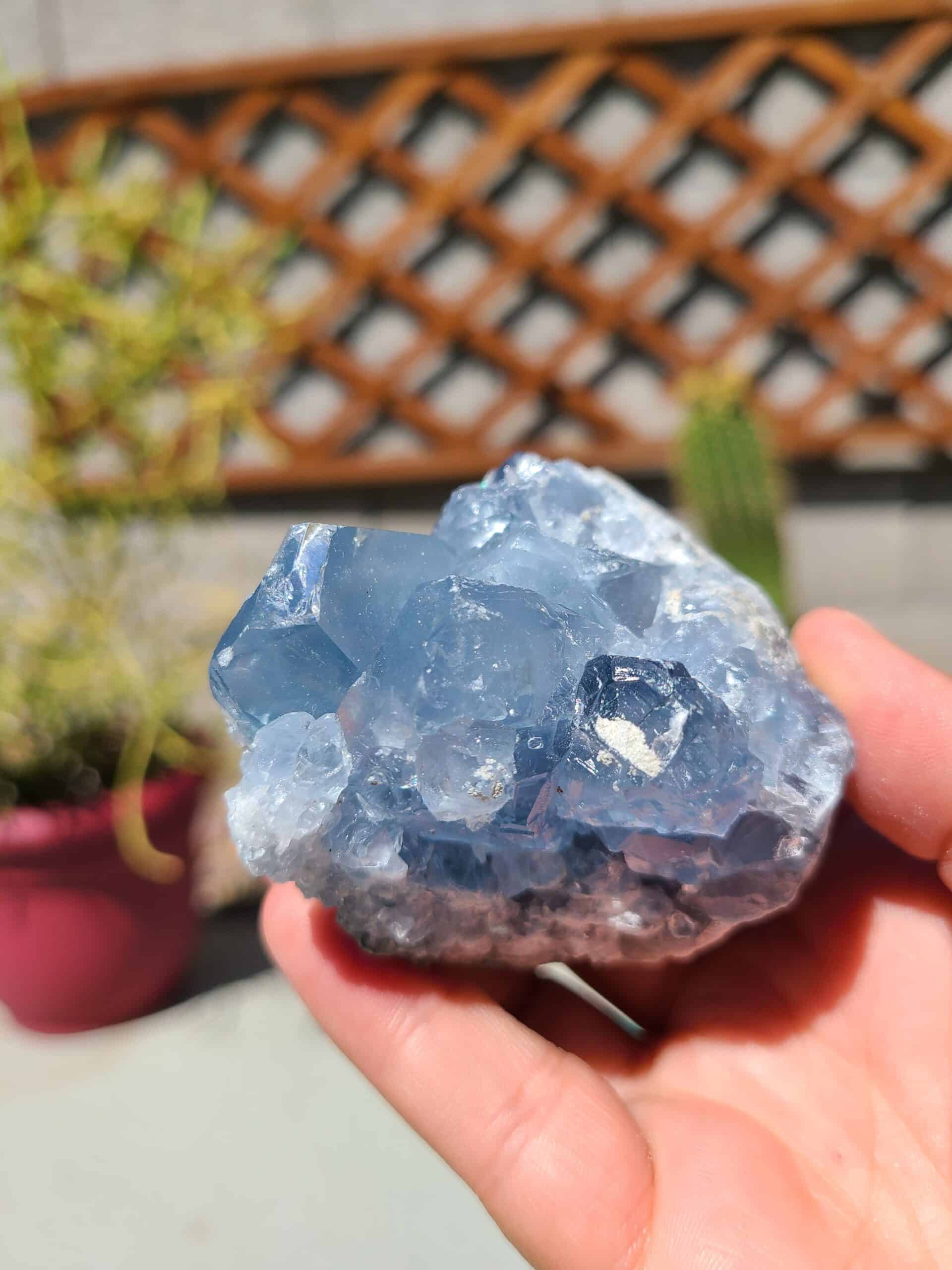 Celestite Archives – Arizona Rock Shop