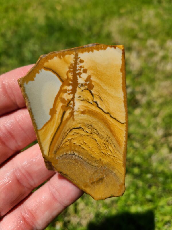 Picture Jasper Gallery – Arizona Rock Shop