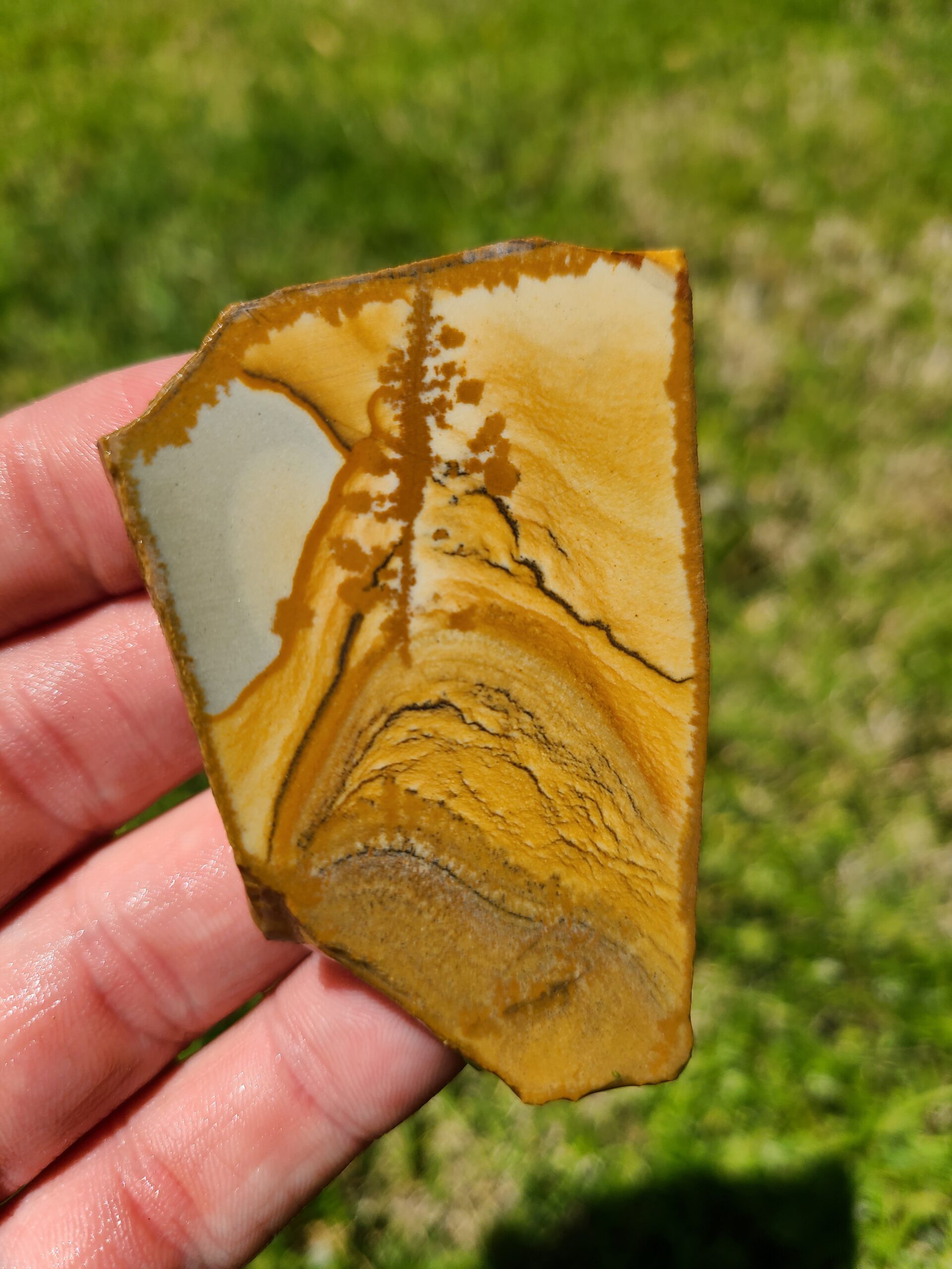 Picture Jasper Gallery – Arizona Rock Shop