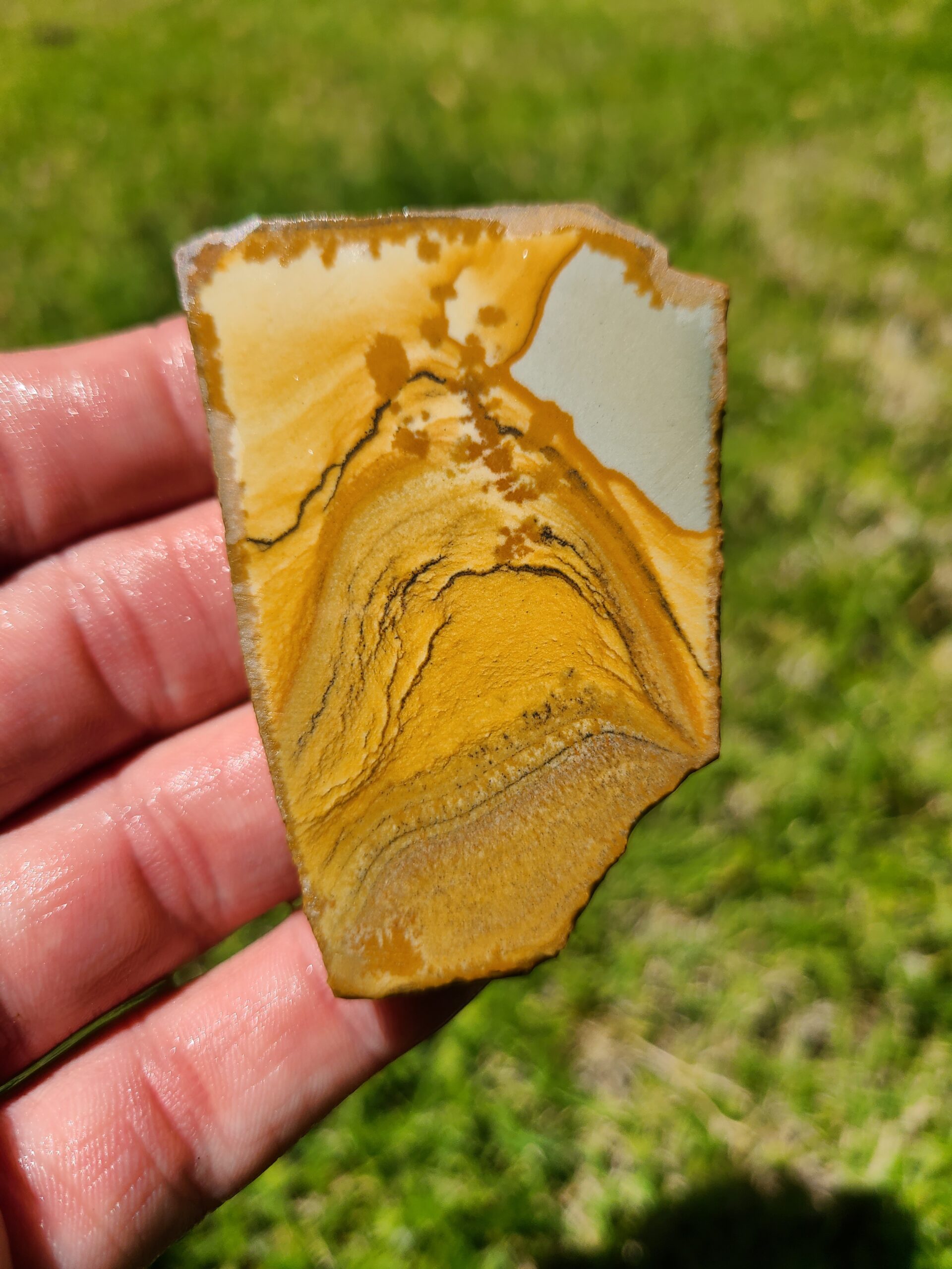Picture Jasper Gallery – Arizona Rock Shop