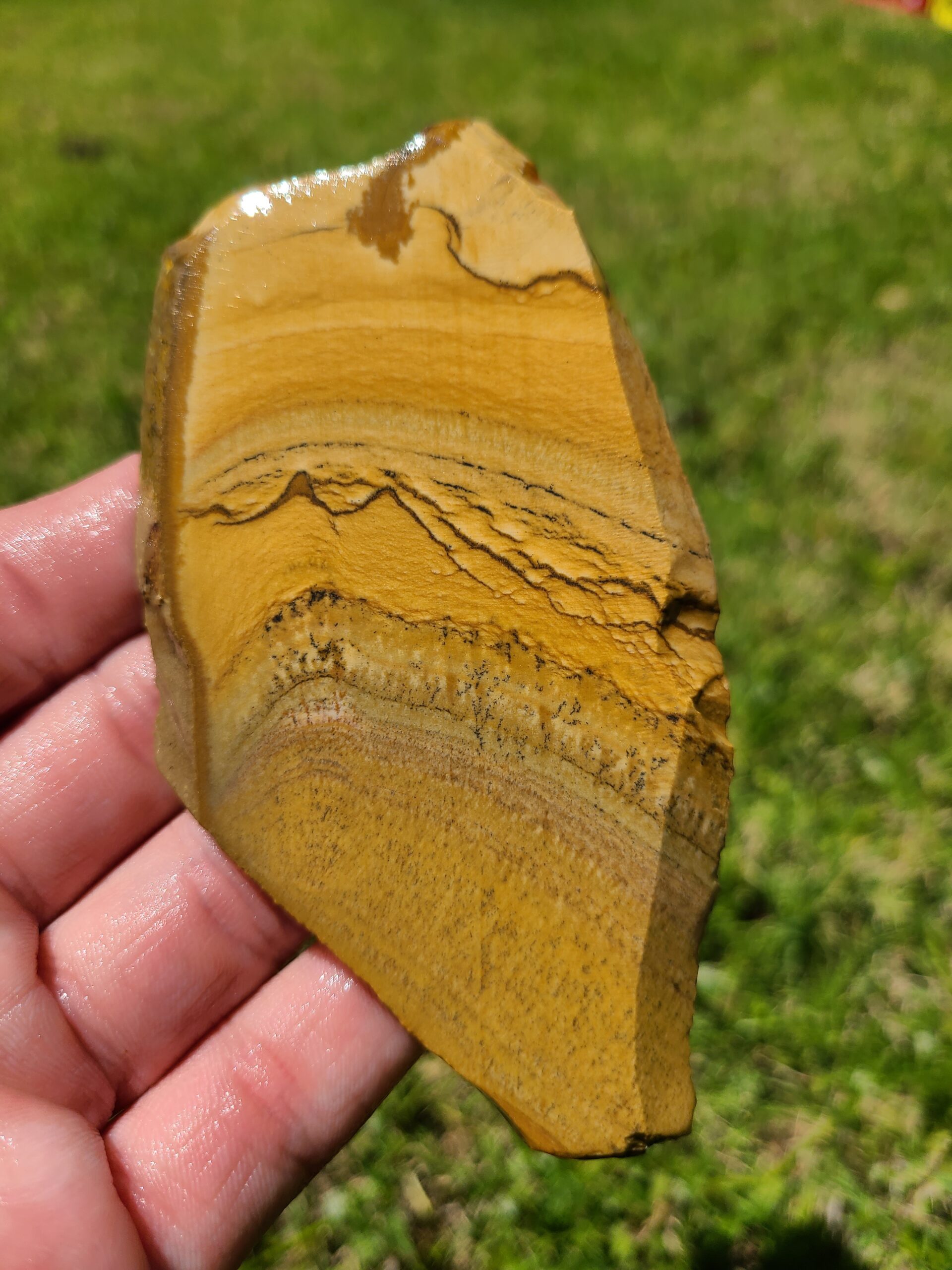 Picture Jasper Gallery – Arizona Rock Shop