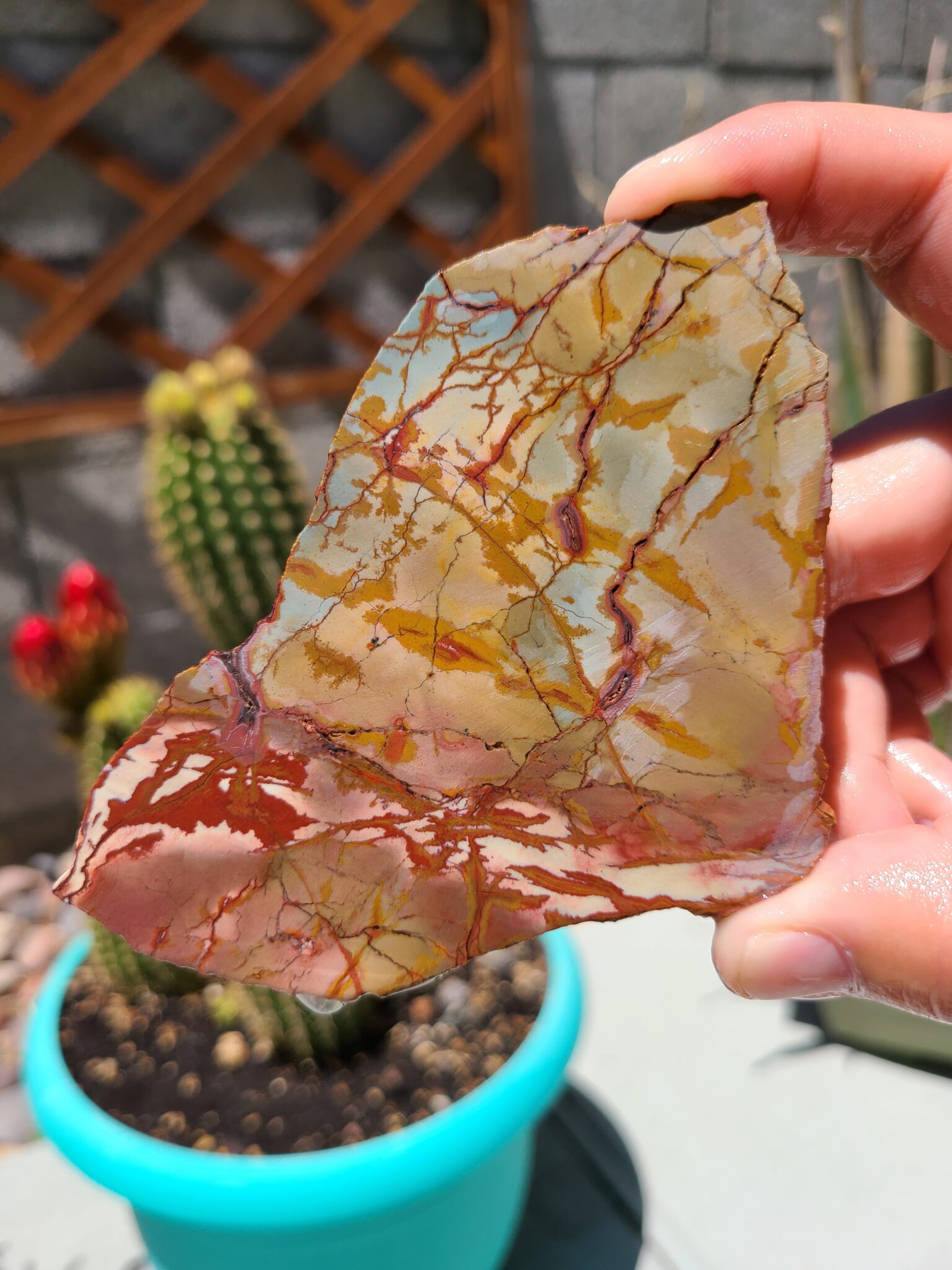 Picture Jasper Gallery – Arizona Rock Shop