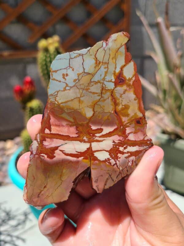 Picture Jasper Gallery – Arizona Rock Shop