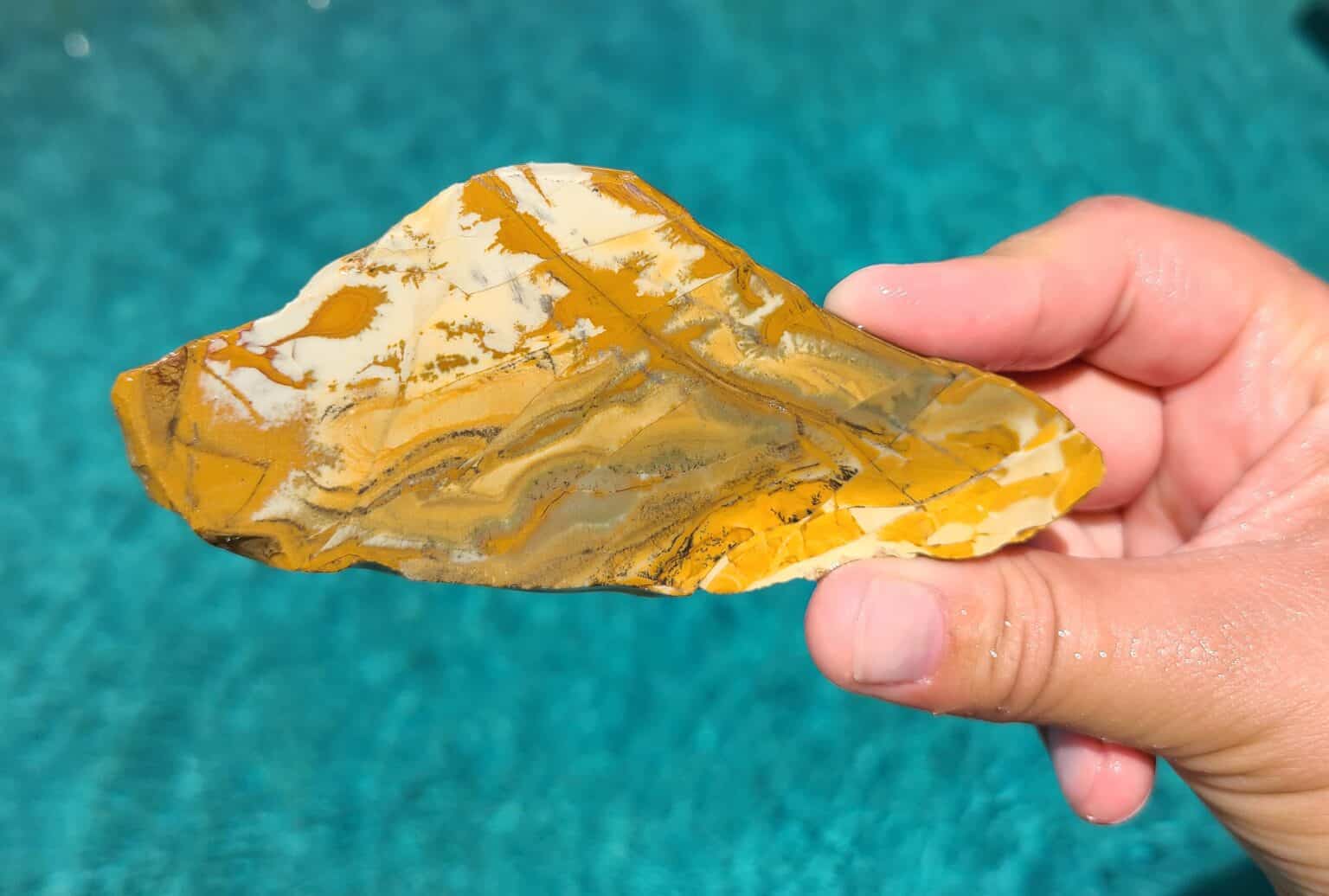 Picture Jasper Gallery – Arizona Rock Shop