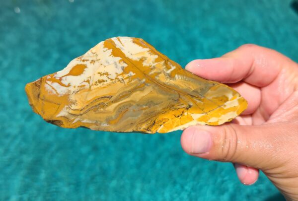 Picture Jasper Gallery – Arizona Rock Shop