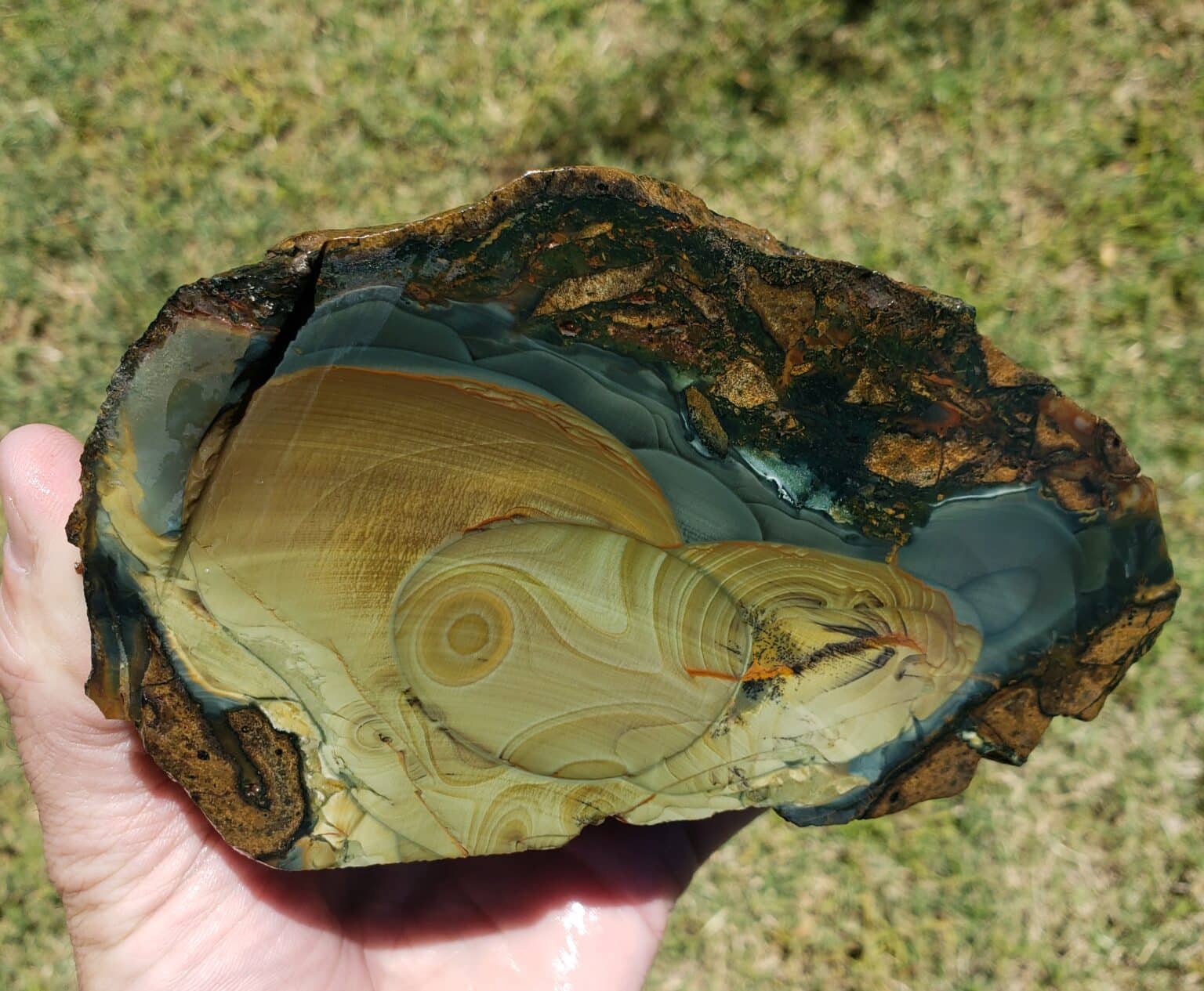 Blue Mountain Jasper – Arizona Rock Shop – Shop Online