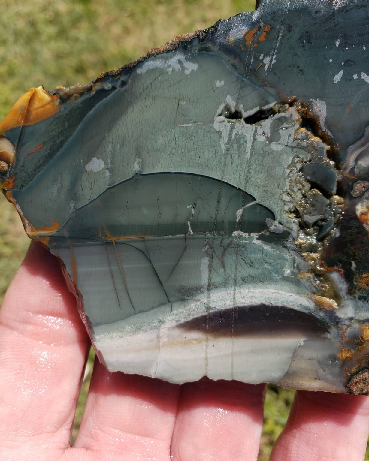 Blue Mountain Jasper – Arizona Rock Shop – Shop Online