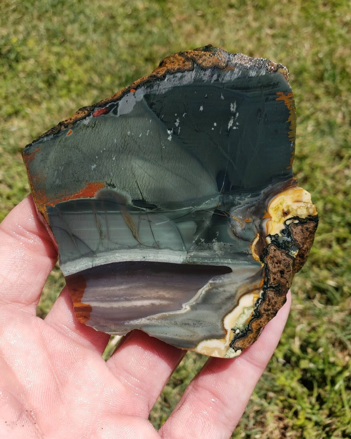 Blue Mountain Jasper – Arizona Rock Shop – Shop Online