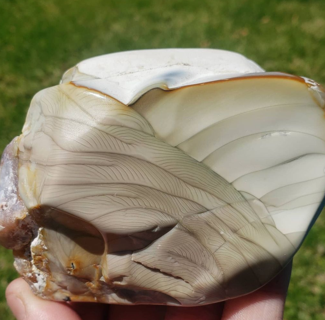 Picture Jasper Gallery – Arizona Rock Shop