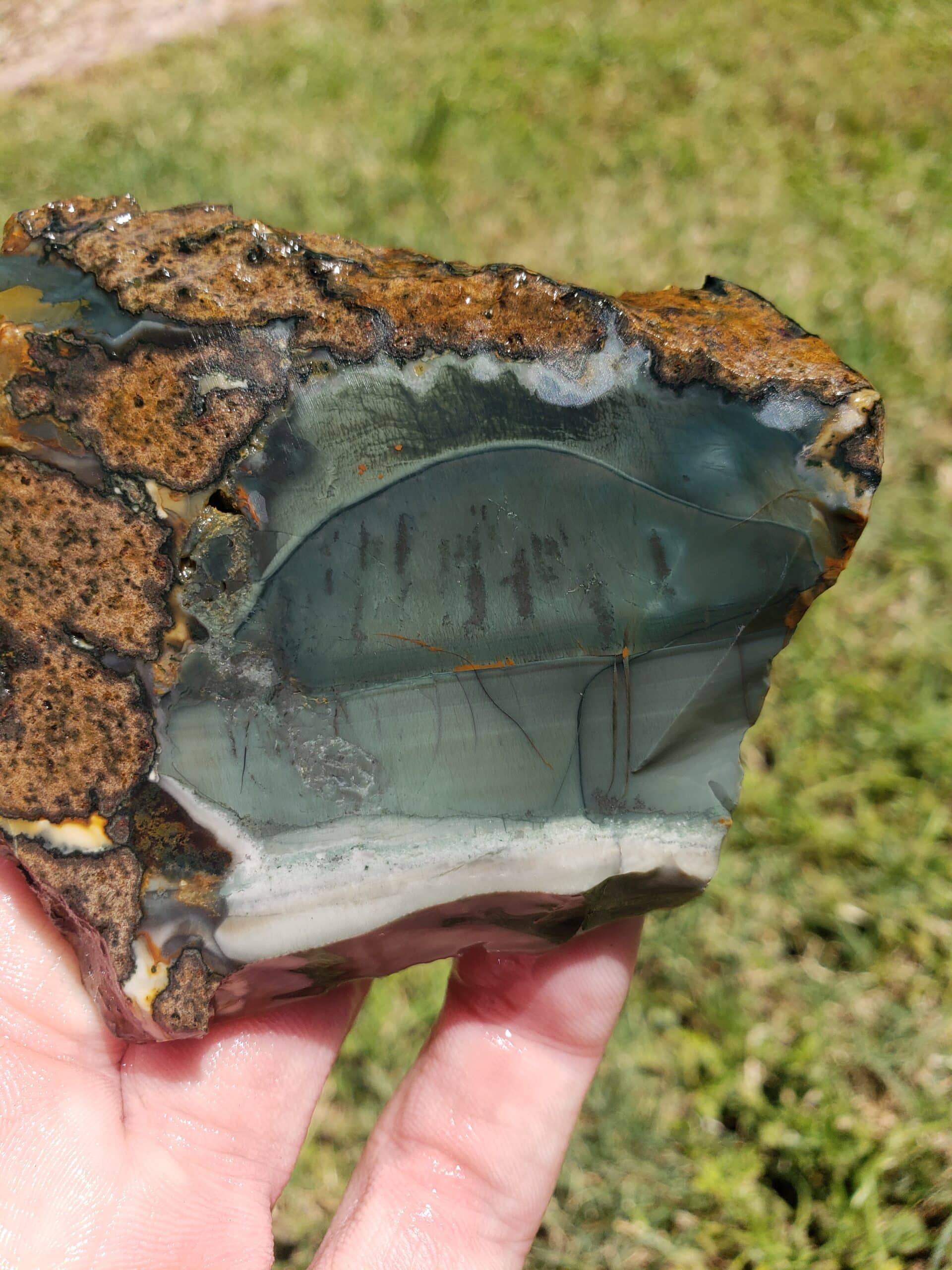 Blue Mountain Jasper – Arizona Rock Shop – Shop Online