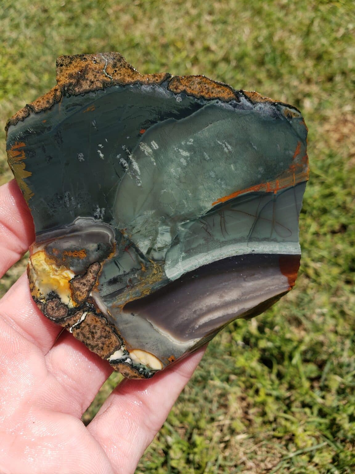 Blue Mountain Jasper – Arizona Rock Shop – Shop Online