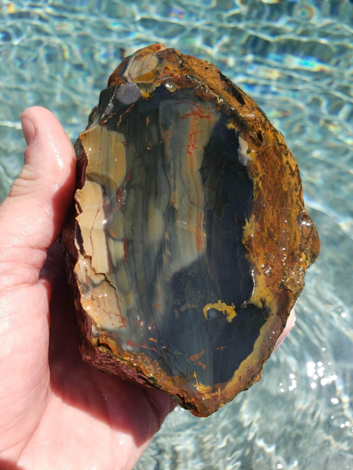 Blue Mountain Jasper – Arizona Rock Shop – Shop Online